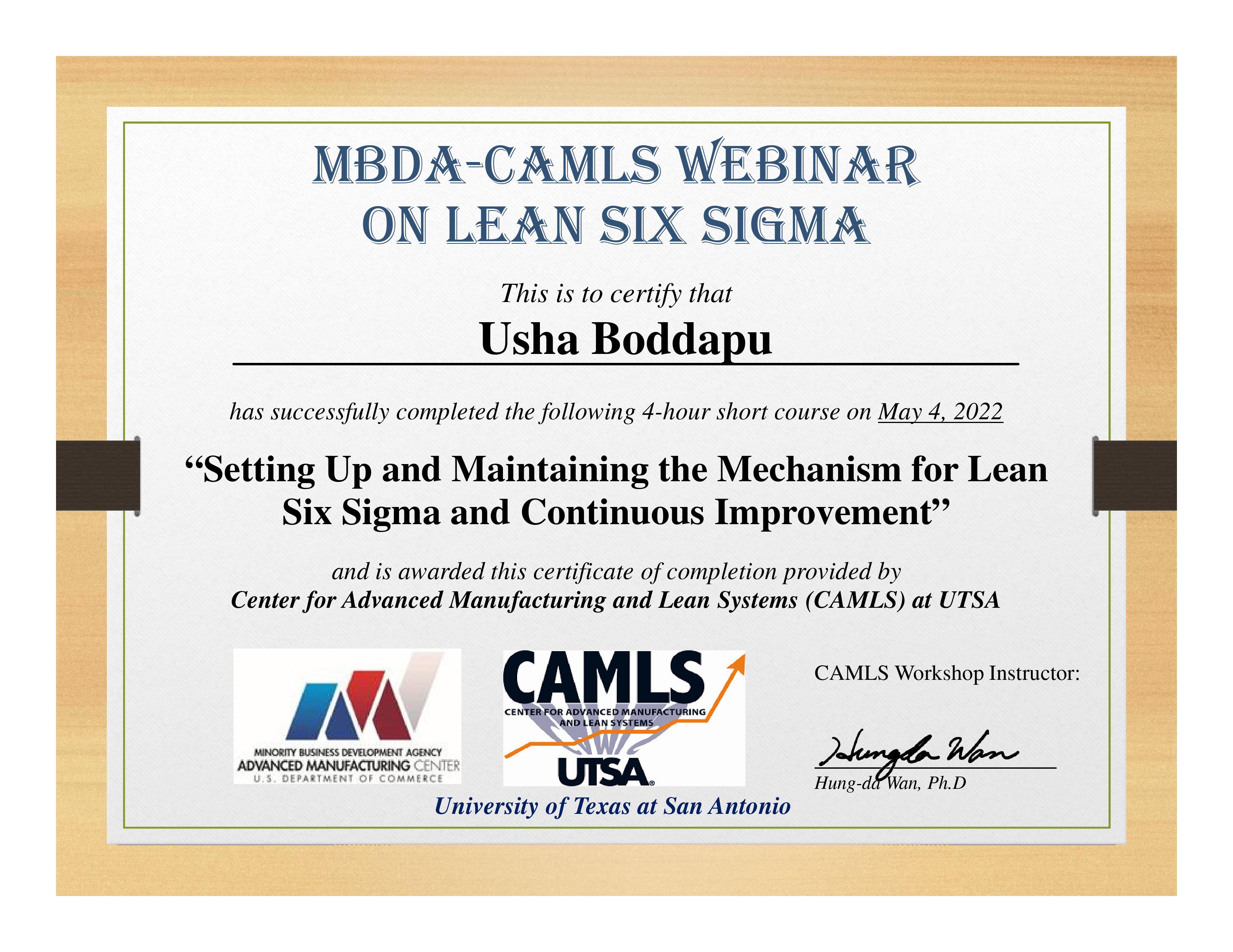 Esolvit CAMLS Six Sigma Certificate